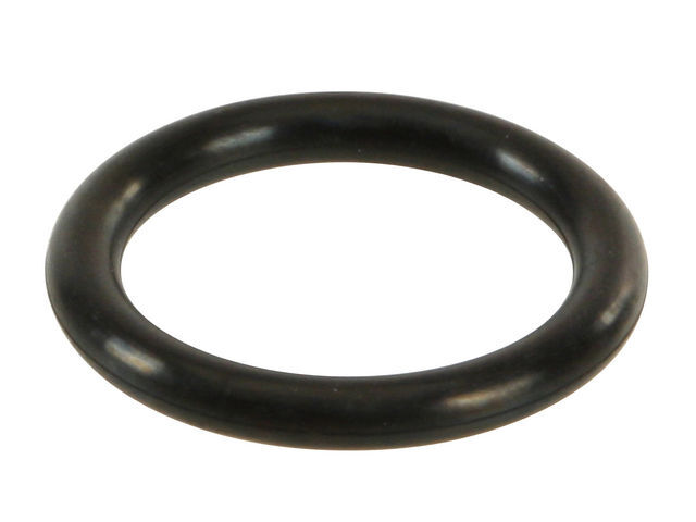 Victor Reinz Water Pipe O-Ring fits VW Passat 1998-2005 88RNSX | eBay
