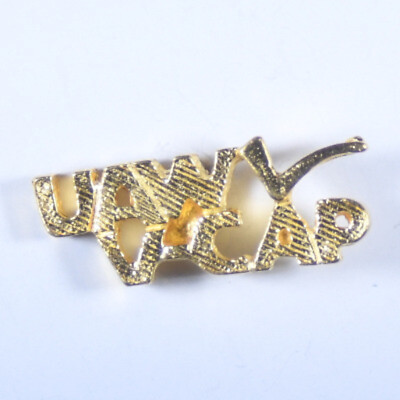 UAW V-CAP Pin United Auto Workers Union Political Action Fund 1in ...