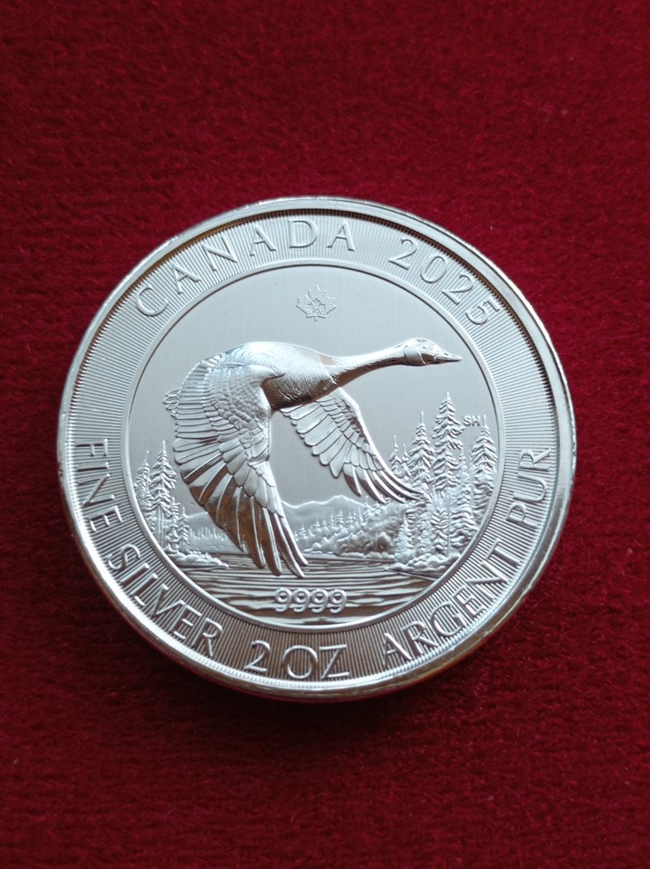 Royal Canadian Mint 2025 2oz 9999 Silver Goose Coin-BU | eBay