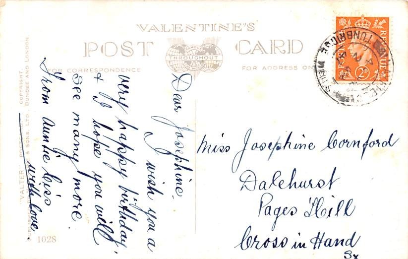 TERRIER PUPPY & KITTEN POSTCARD 1947 VALENTINE'S 1028 FLORENCE VALTER ...