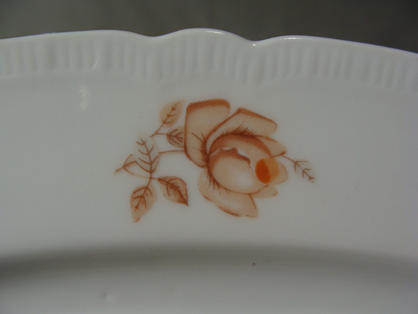 1 Bohemia Ceramic Oval Platter In The Alpin Rose Pattern ...