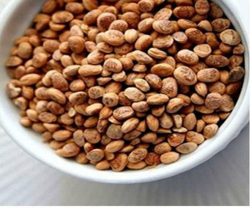 Chironji Dana - Charoli Dana - Almondette Seeds - Dry Fruits | eBay