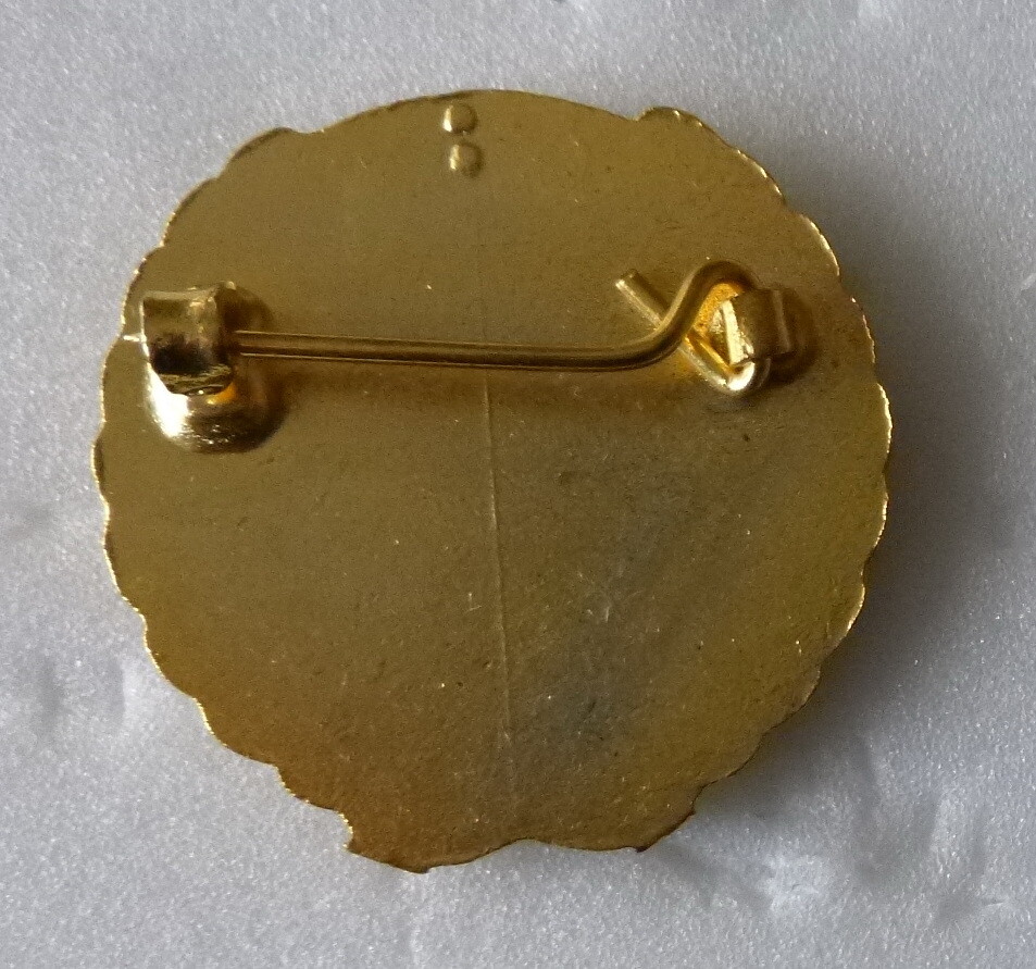 CHELSEA FOOTBALL Enamel Pin Badge RUUD GULLIT | eBay UK