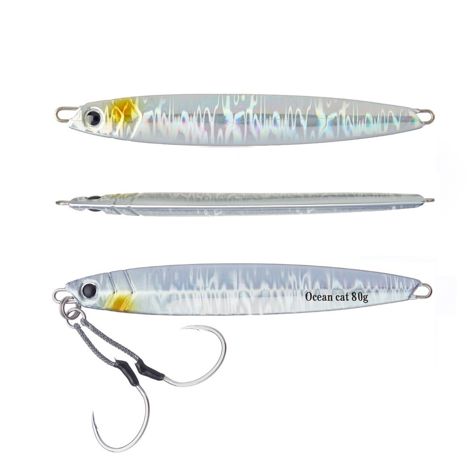 Slow Pitch Jig Saltwater Fishing Lure Flat Fall Jig Jigging Bait with 2 ...