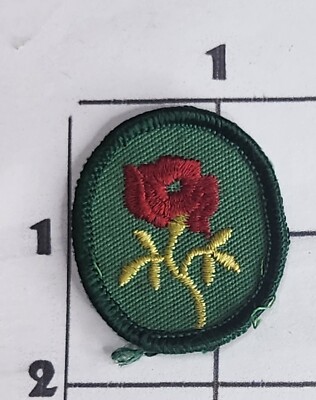 Red Rose Troop Crest Patch Girl Scouts USA Green Merit Badge Oval | eBay