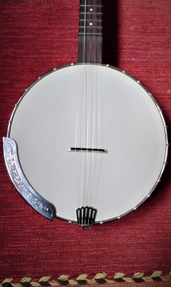 Gold Tone CC-CARLIN 12 5 String Banjo Musical Instrument | eBay UK