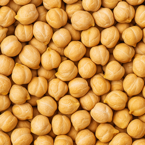 DRIED GARBANZO BEANS CHICKPEAS BULK LOT 2 4 6 10 18 LBS USA GROWN ...