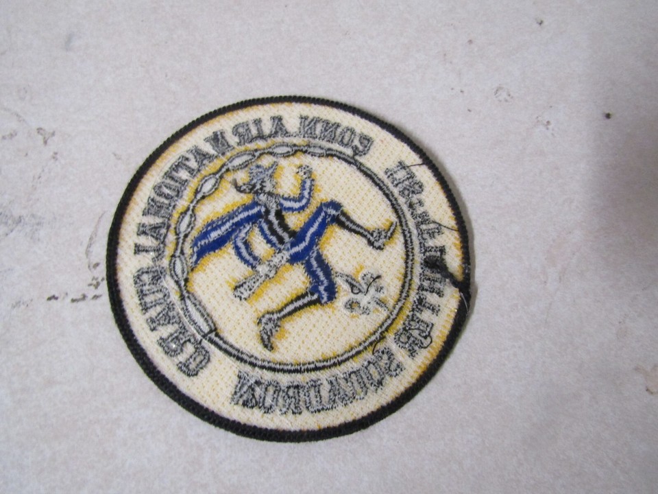 MILITARY PATCH VINTAGE OLDER 118TH FIGHTER SQUADRON CONNECTICUT AIR ...