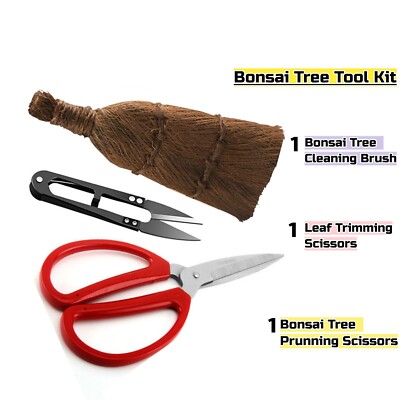 Bonsai tree tools, bonsai tools, Bonsai tool set, Bonsai tool kit ...