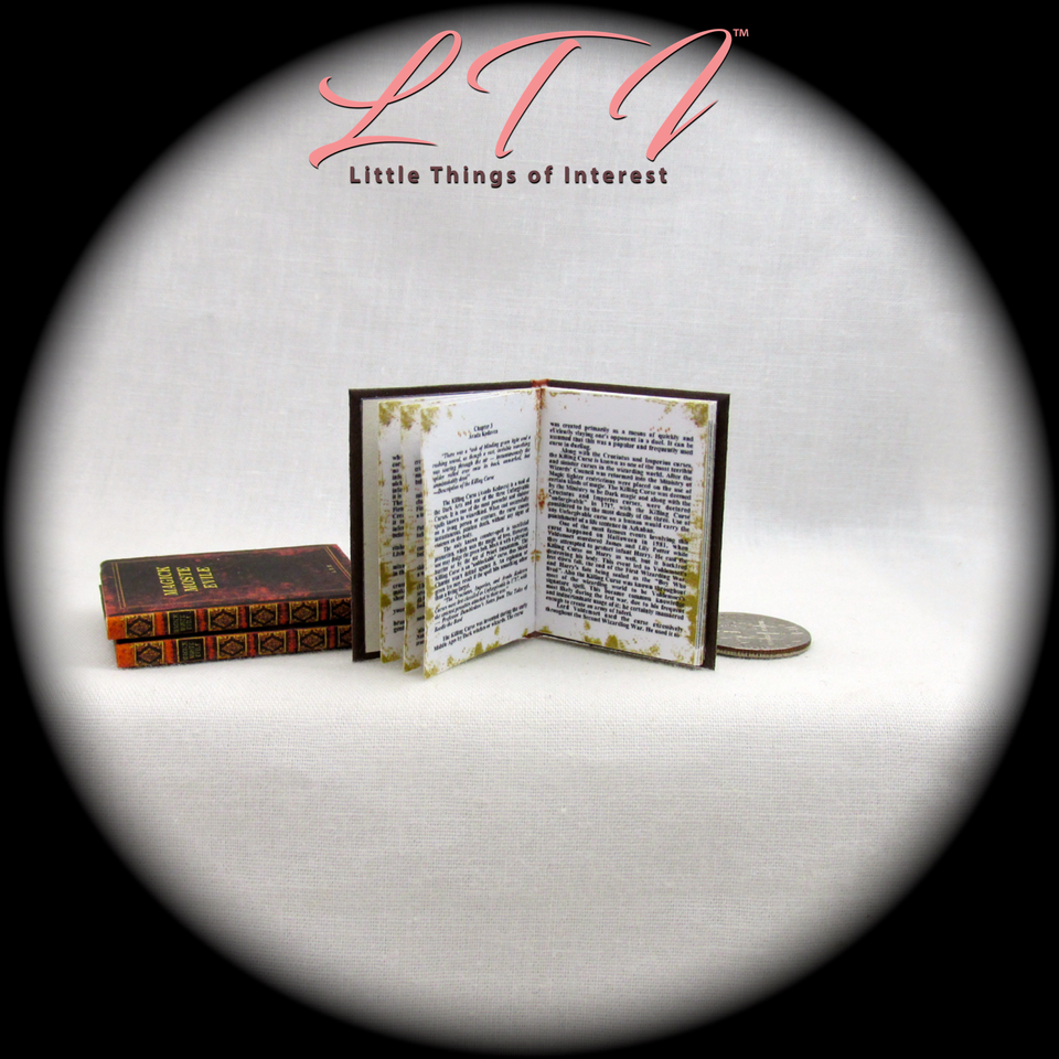 1:6 Scale MAGICK MOSTE EVILE Illustrated Readable Spell Book Harry Potter | eBay