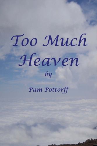 Too Much Heaven by Pam Pottorff (2015, Trade Paperback) for sale online ...
