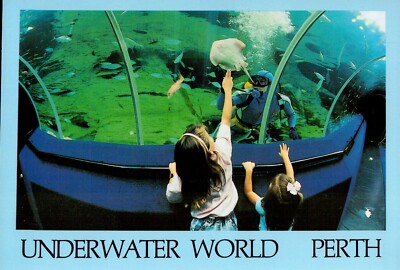 L0086 Australia WA Perth Underwater World postcard | eBay