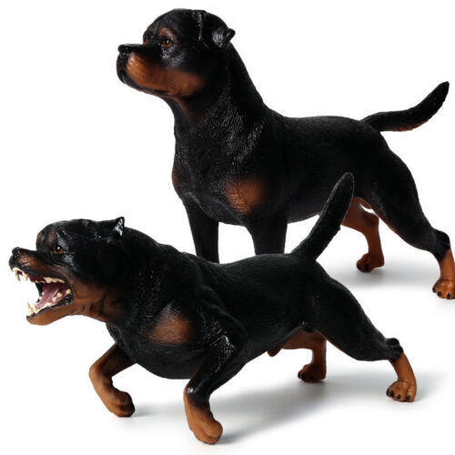 1/6 Scale Realistic Rottweiler Dog Statue Resin Animal Model Toys ...