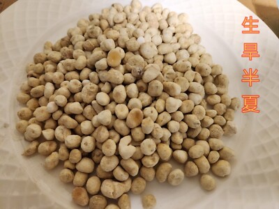 Natural Herb: 生旱半夏, Raw Ternate Pinellia，Sheng Han Ban Xia | eBay