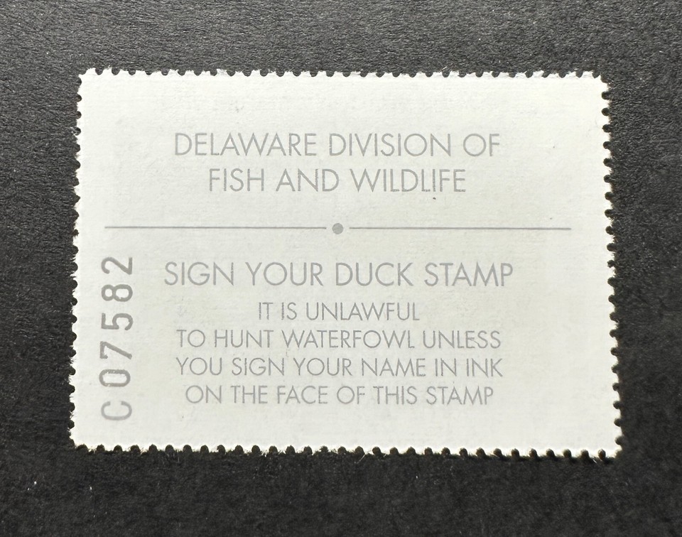WTDstamps - 2022 DELAWARE - State Duck Stamp - Mint OG NH | eBay