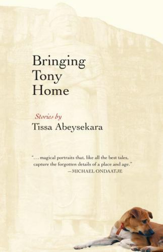 Bringing Tony Home Format: Paperback 9781556437571| eBay
