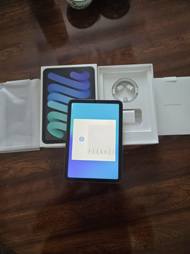 iPad Mini 256 GB 6th Gen (WiFi) -Space gray Mint Condition | eBay