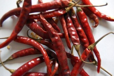 Rat's Tail Pepper Or Tree Chili Bird's Cayenne Beaks Hot Smokey Flavors ...