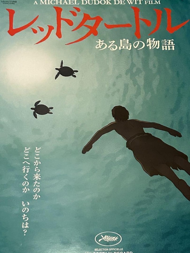 Studio Ghibli Movie Poster Set of 23 posters Japanese Reissue Poster ...