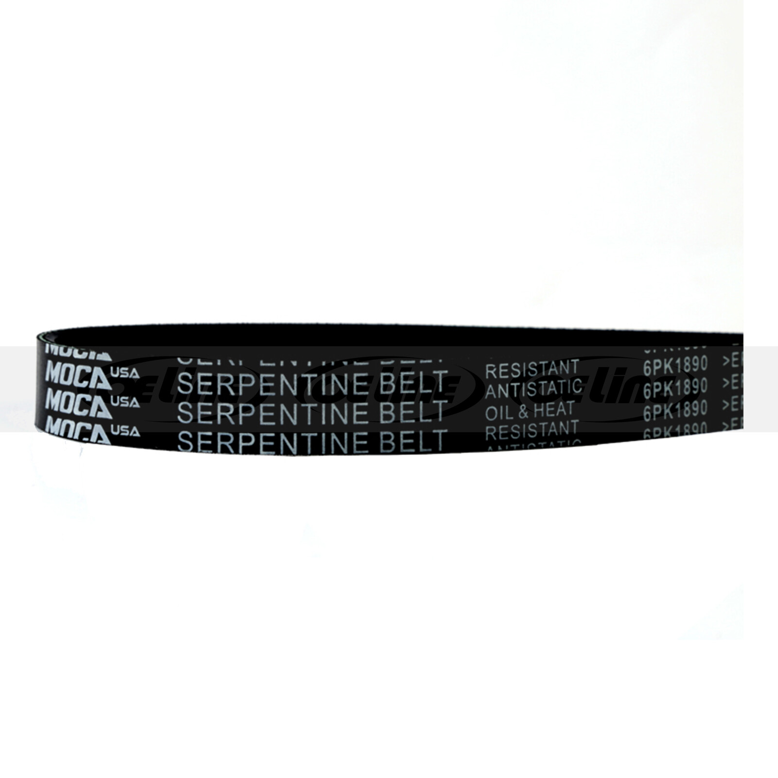 Timing Belt Water Pump Serpentine Belt 6PK1890 for 99-02 Daewoo Leganza ...