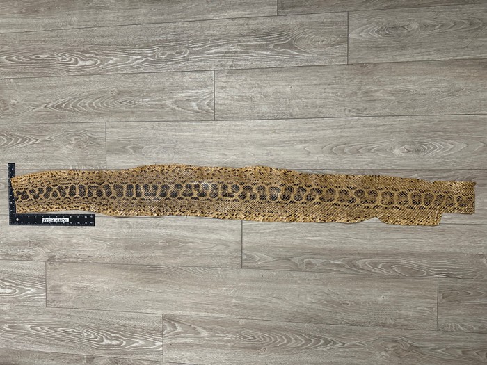 Lite Tan Glossy Genuine Anaconda Leather hide snake skin python boa ...