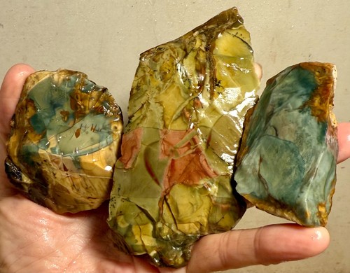 Rare Morrisonite Jasper Rough! Oregon | eBay