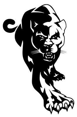 Panther vinyl car Decal / Sticker | eBay UK