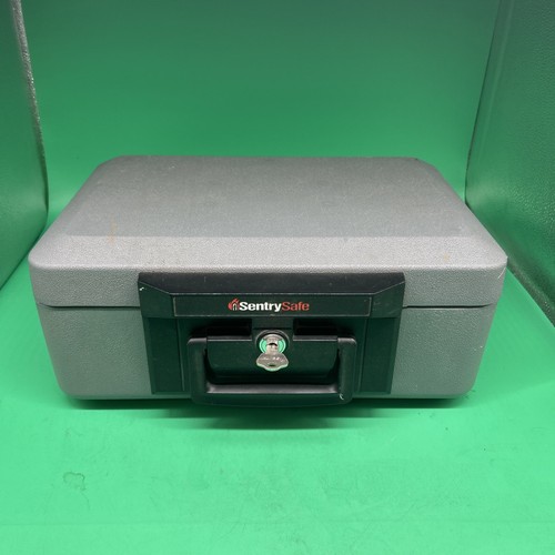 Sentry Safe Portable Fireproof Home Security Lock Box With Key- 0.25 ...