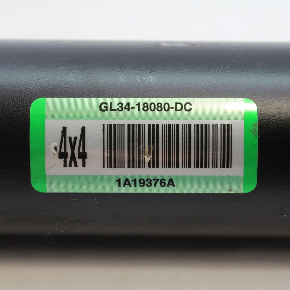 Ford OEM Rear Shock Absorbers Right Left for 2015-20 4x4 F150 Truck ...