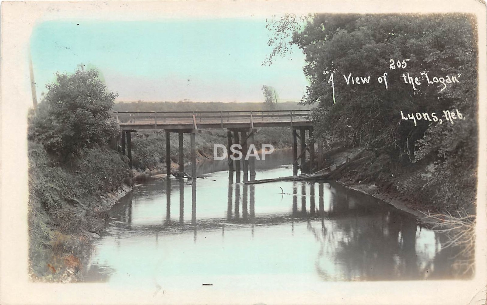 C95/ Lyons Nebraska Ne Real Photo RPPC Postcard c1920s View of the ...