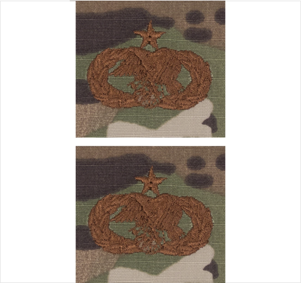 GENUINE U.S. AIR FORCE EMBROIDERED BADGE: LOGISTICS READINESS: SENIOR ...