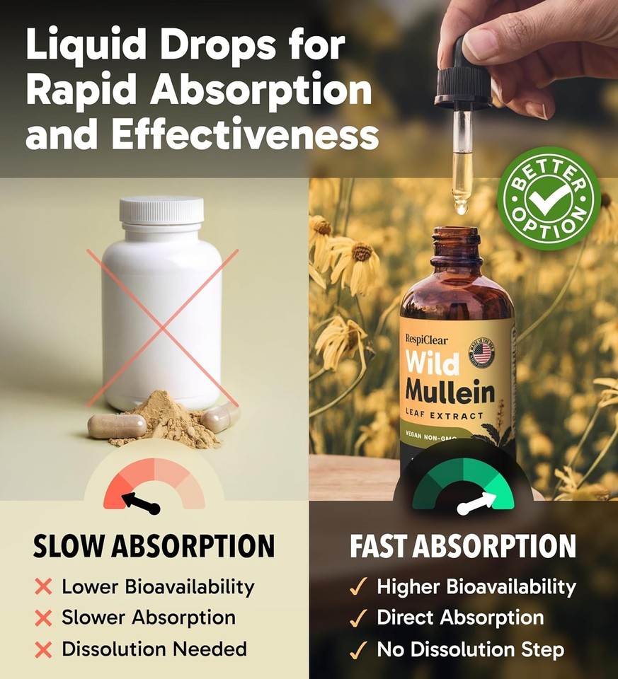 RESPICLEAR All-Natural Mullein Drops with Ginger & Lemon for Lung ...