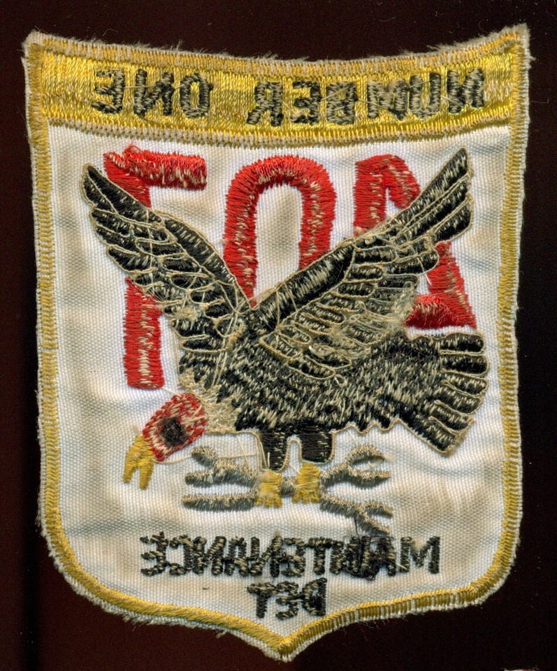 US Army 407th Maintenance Det Aviation Number One Vulture Vietnam Patch ...