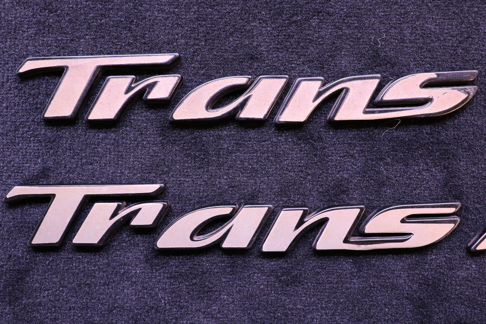 1993-2002 Firebird Trans Am Door Letter Emblem Letters Pair | Lower ...