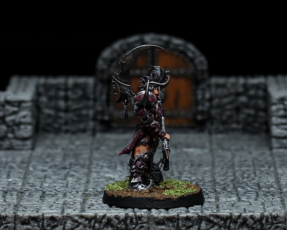 Hedonites of Slaanesh Pro Painted Army Builder - Warhammer Miniature ...