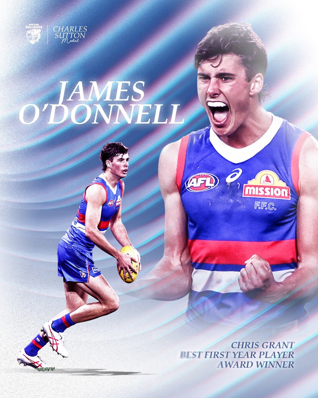 WESTERN BULLDOGS TEAM PLAYER POSTER, FREE POST, BARGAIN,FOOTBALL | eBay ...