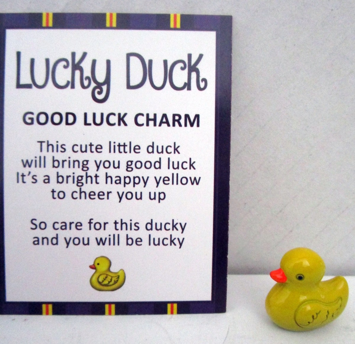 You Lucky Duck