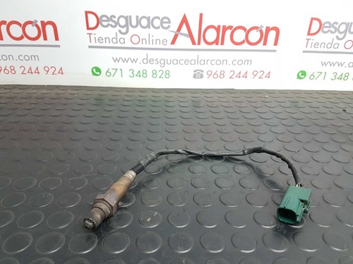 0258006462 LAMBDA-SONDE / 173651 FÜR NISSAN PRIMERA BERLINA P12 ACENTA | eBay.de