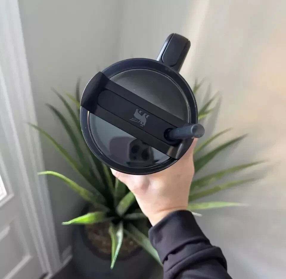 Stanley x Target Elphaba 40OZ H2.0 FlowState Tumbler Wicked SLIGHTLY ...