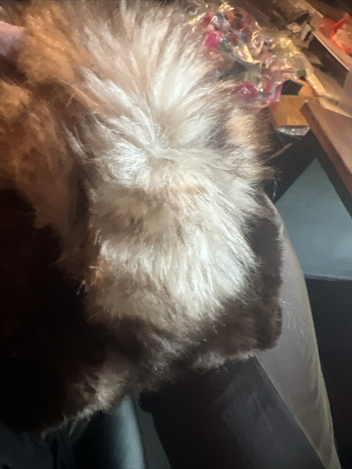 Folkmanis Ferret Plush Realistic Full Body 2 Hand Puppet 25" Head to ...