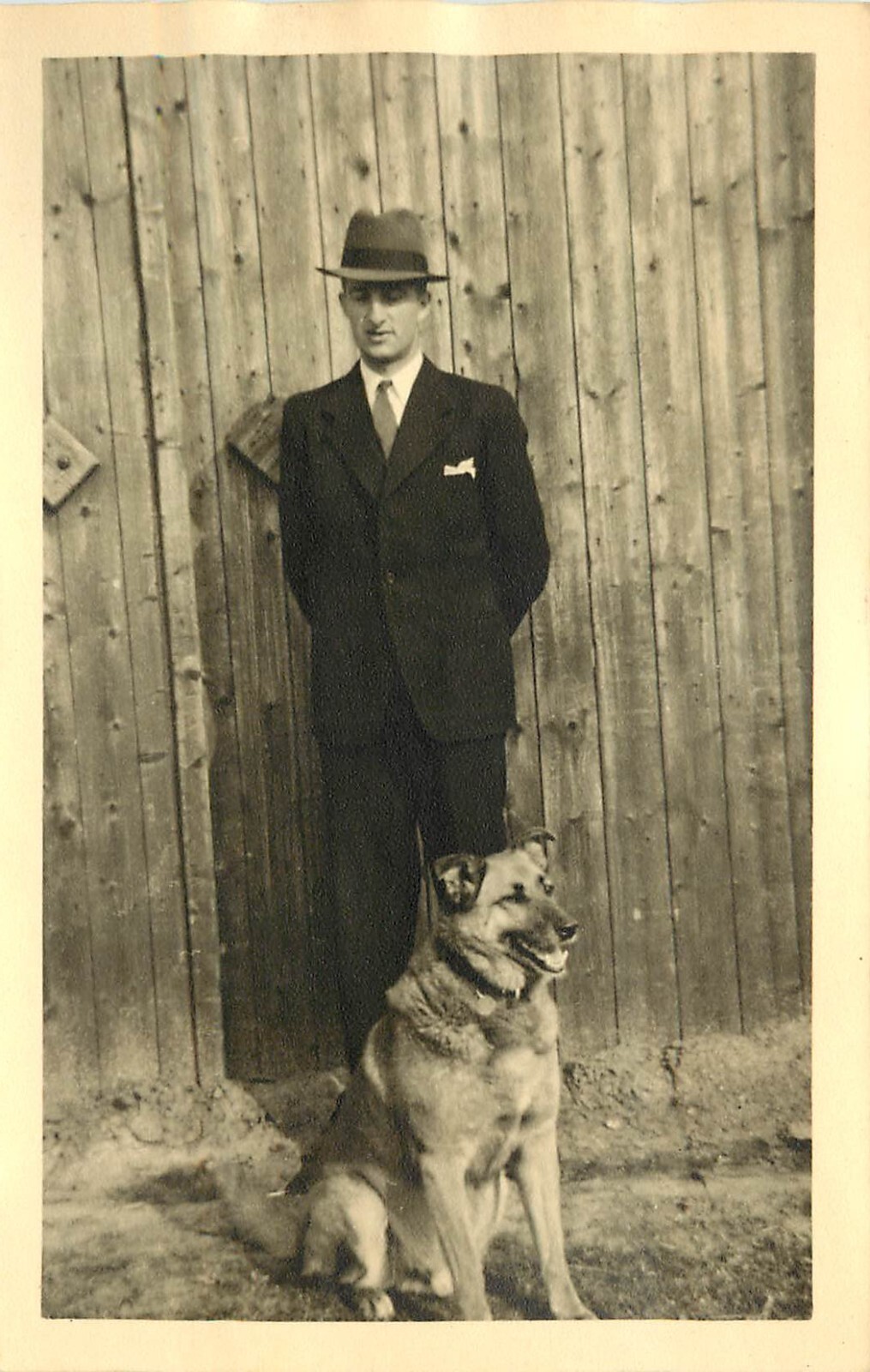 RPPC Alsatian or German Shepherd Dog with Man in Suit & Hat, Europe ...