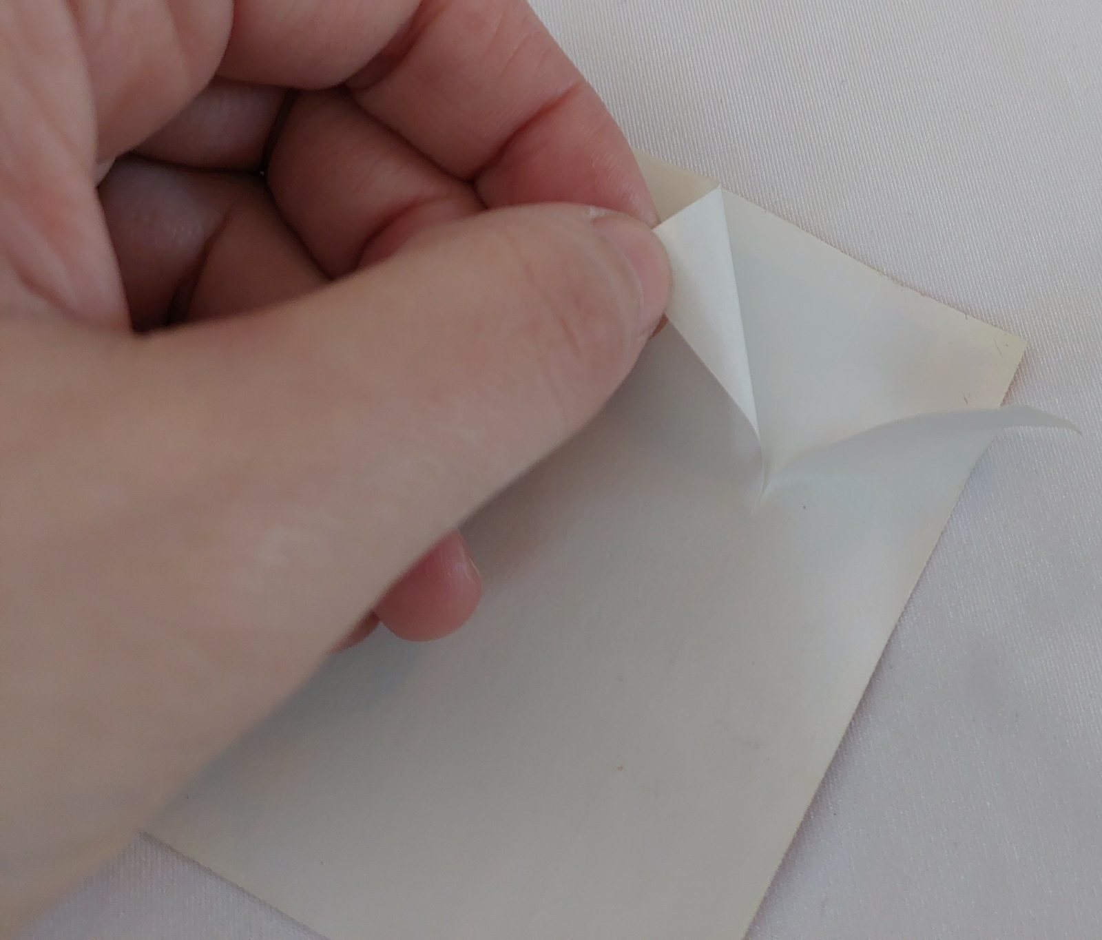 THE TRAGICALLY HIP Vinyl Decal Sticker Pemberton Music Festival BC 2008 ...