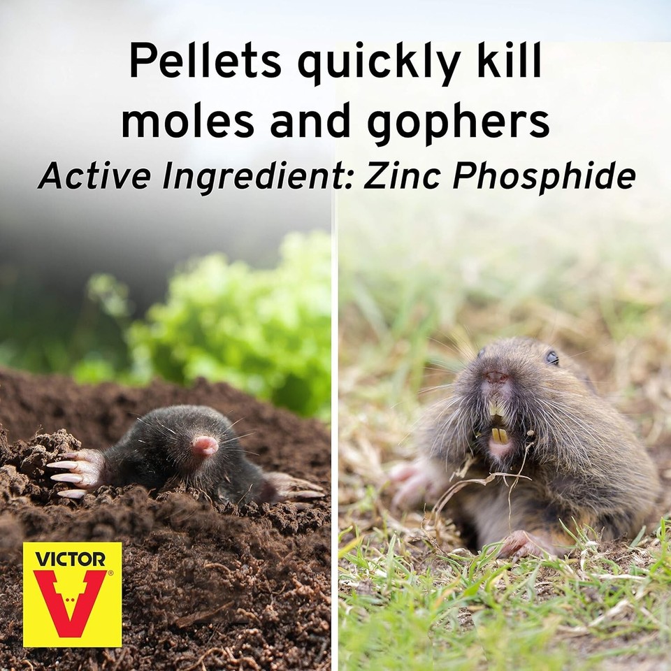 M6006 Outdoor Mole & Gopher Poison Peanuts - Mole and Gopher Bait ...