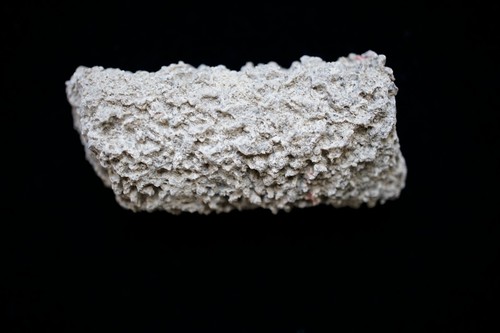 UNIQUE TUFA SPECIMEN CREATED BY FOSSIL WOOD | eBay