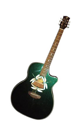 Luna Fauna Dragonfly Acoustic/Electric Guitar for sale online | eBay