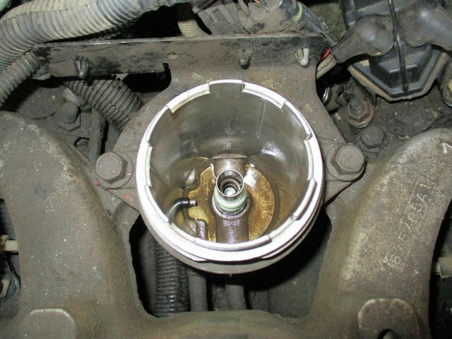 Stanadyne (clarcor) 29244 Fuel Filter Screen/strainer for 6.5l GM ...