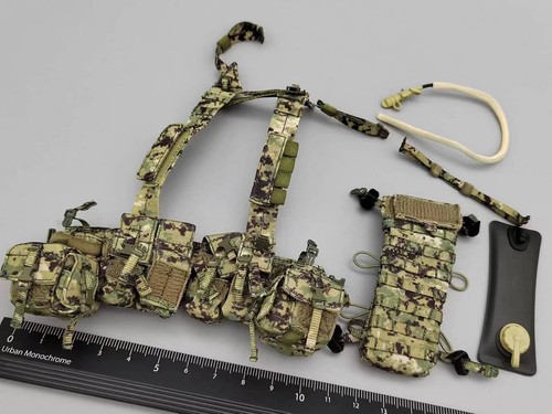 DAMTOYS DAM 78049 1/6 Scale Seal NSWDG In Afghanist Chest Hanging Model ...