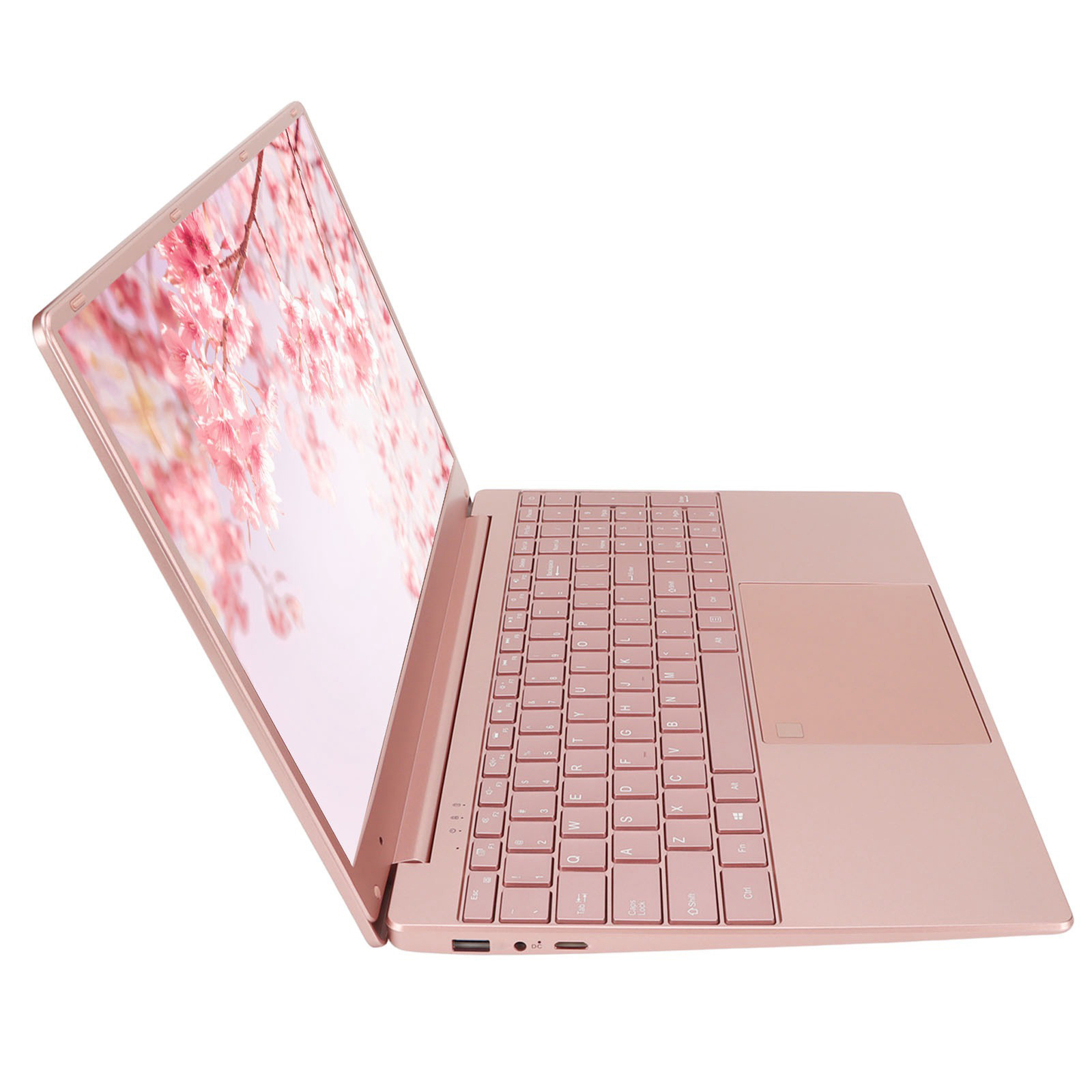 15.6in Laptop For N5095 CPU Pink Mini Laptop For Window11 With Fingerp ...
