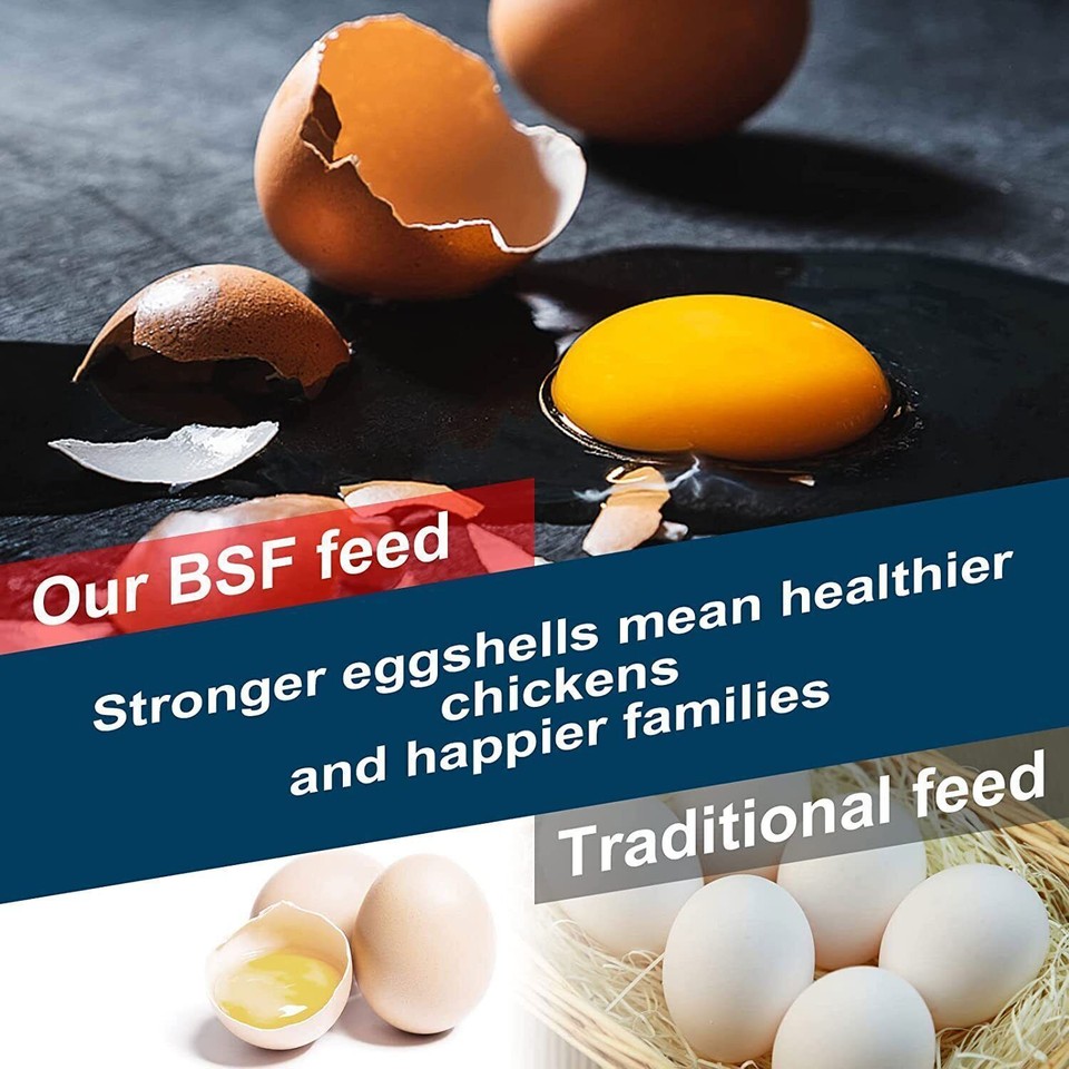 Dried Black Soldier Fly Larvae Chickens Feed Birds Treats Natural Food ...