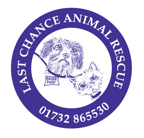 Last Chance Animal Rescue Home | eBay for Charity